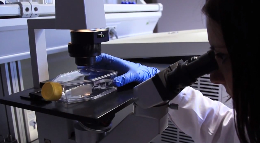 VivaCell Biotechnology, una spin off que espera convertirse en líder en ...